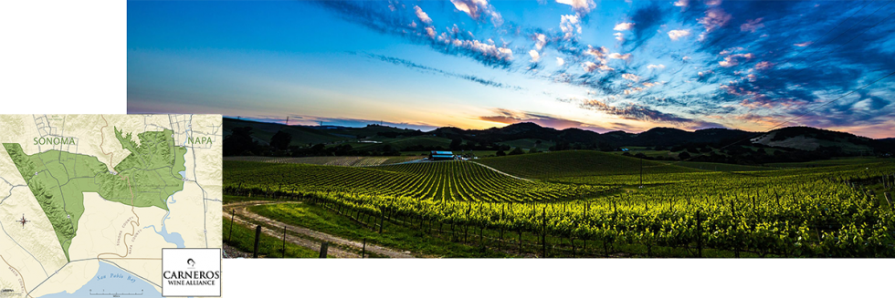 Los Carneros - The Valley's Coolest Sibling